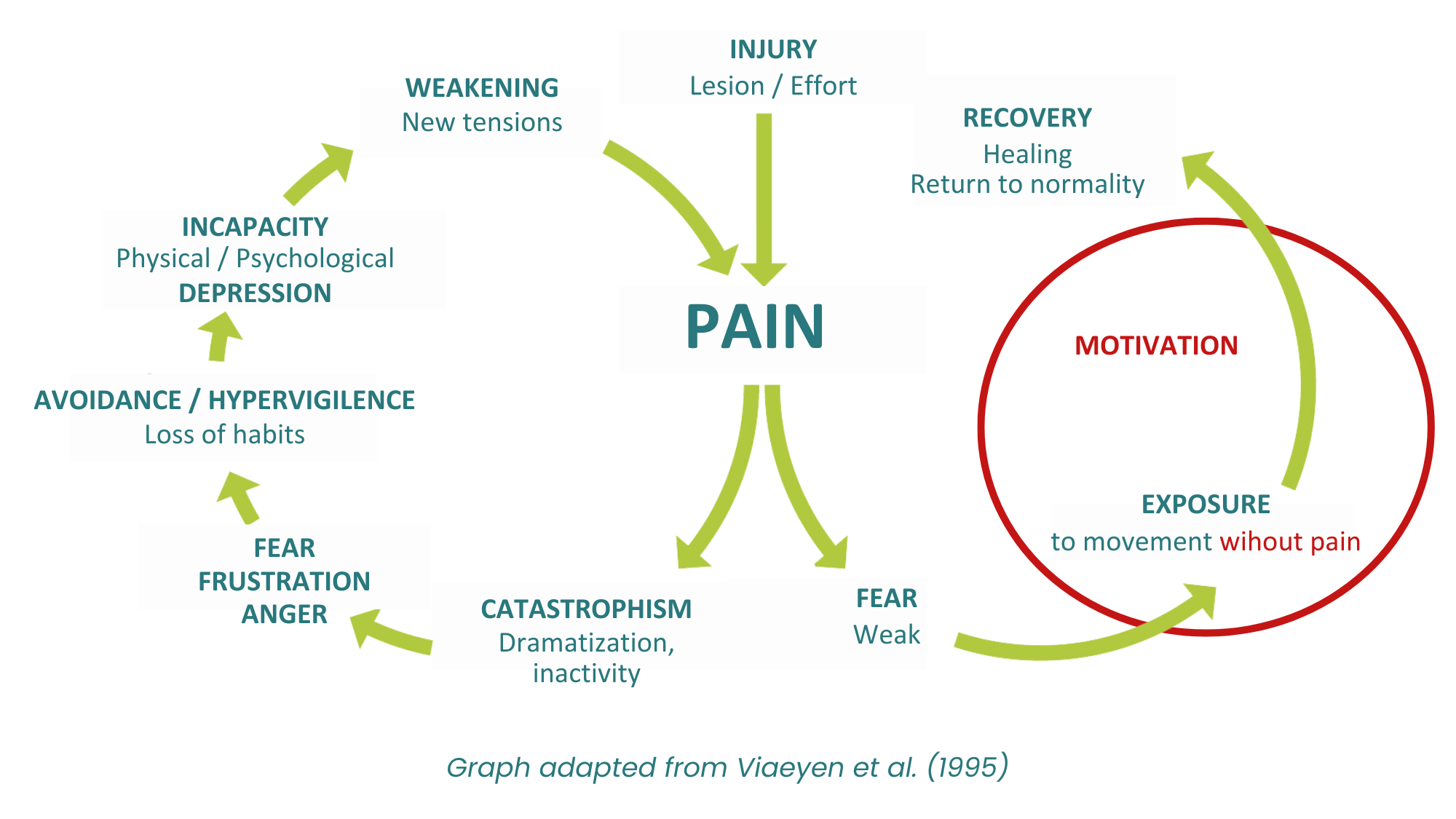 Healing Through Movement: Breaking the Cycle of Pain - David