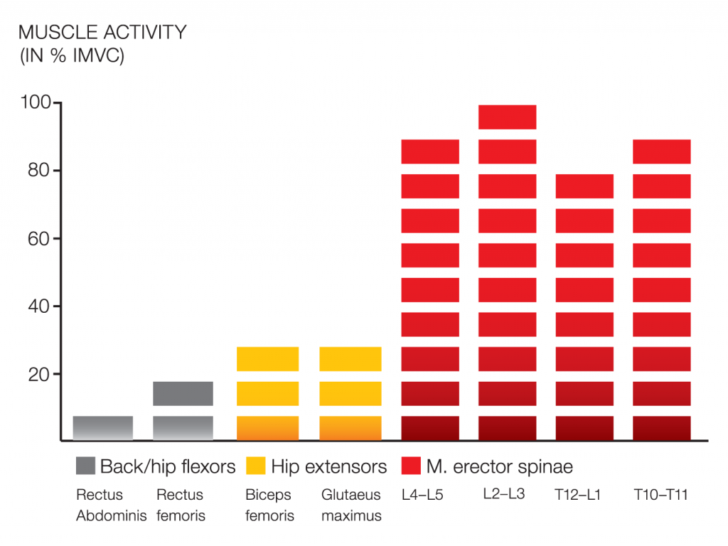 Spine Machines - Physical Therapy - David Health