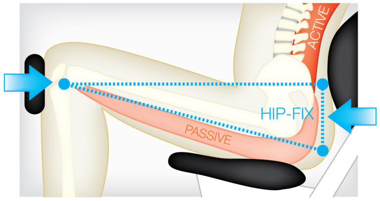 Spine Machines - Exercise equipment for back and neck pain relief