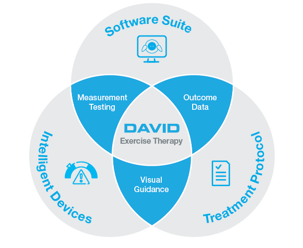 Medical Exercise Equipment for the Shoulder, Knee, Hip, and Spine